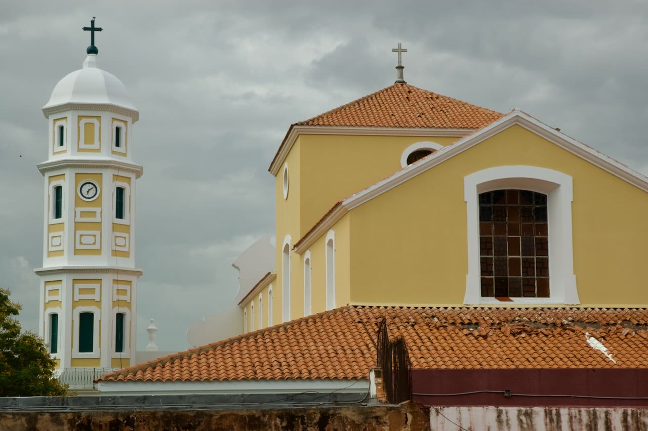 Autoinflammatory vs. Autoimmune….What's The Difference?