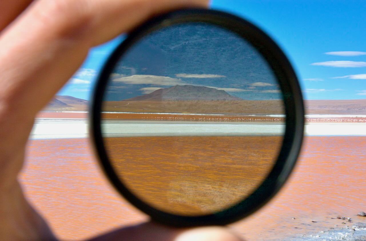 Autoinflammatory vs. Autoimmune….What's The Difference?